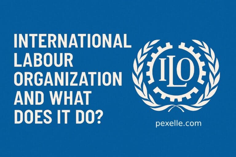 What is the International Labour Organization (ILO) and What Does It Do ...